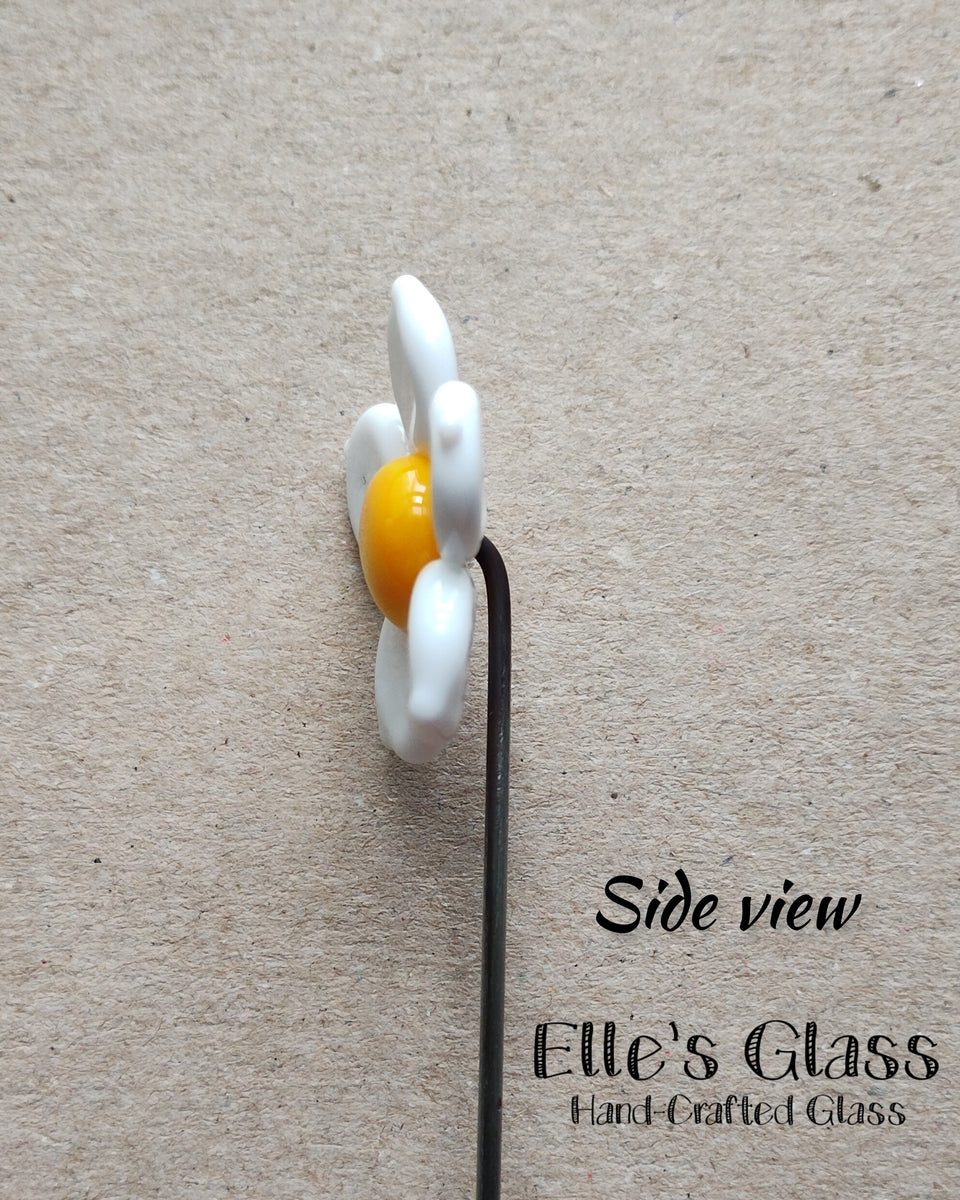 Glass Daisy – Elle's Glass