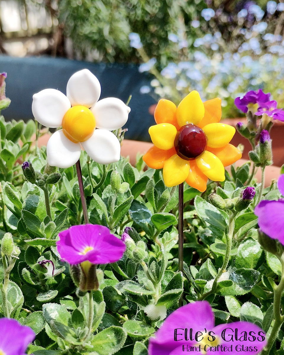 Glass Sunflower – Elle's Glass